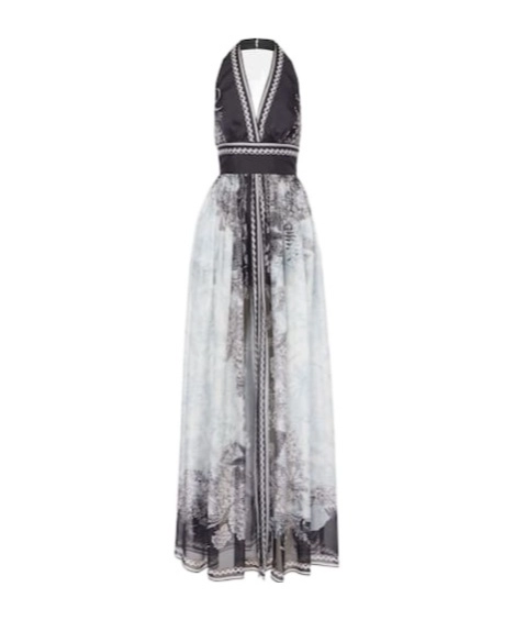 Elie Saab Printed Silk Chiffon Maxi Dress