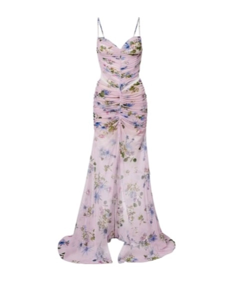 Blumarine Floral Ruched Sheer Gown - Pink