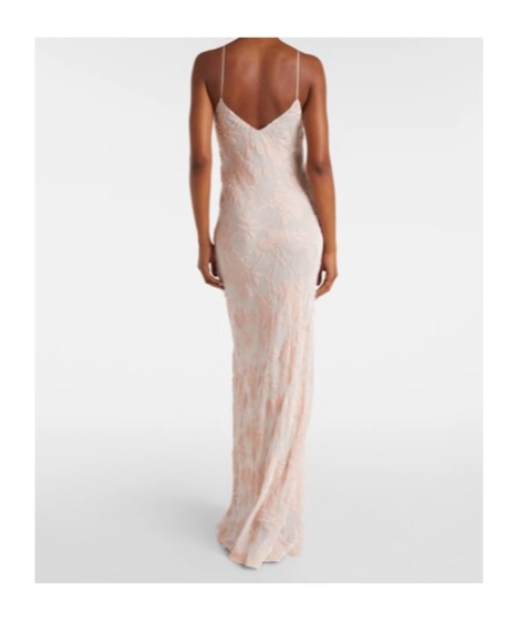 RODARTE Floral Appliqué Velvet Maxi Slip Dress - Nude