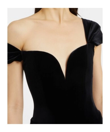 Alex Perry Asymmetric Velvet Bustier Gown