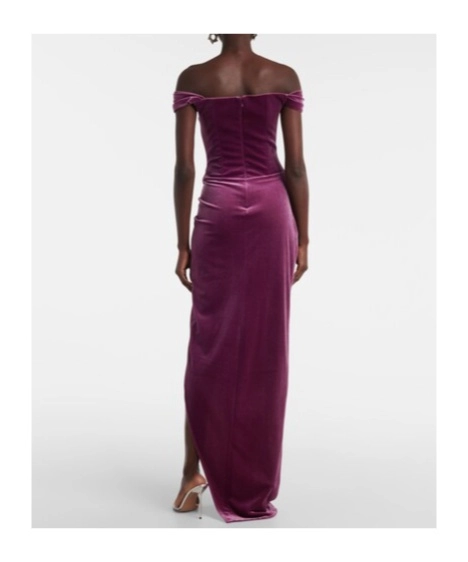 Alex Perry Asymmetric Velvet Bustier Gown