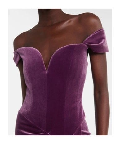 Alex Perry Asymmetric Velvet Bustier Gown