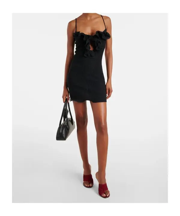 Magda Butrym Ruffled Sheer Minidress