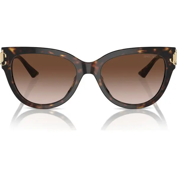JIMMY CHOO 54mm Gradient Phantos Sunglasses - Havana/gradient Brown