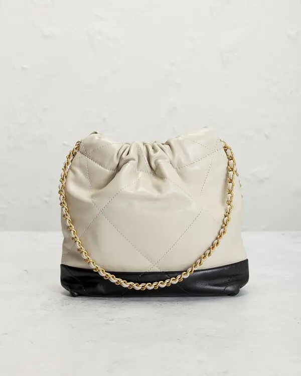 FWRD RENEW Chanel Lambskin Mini 22 Hobo Bag