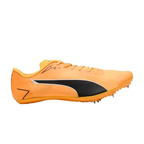 PUMA Evospeed Brush 7 Black