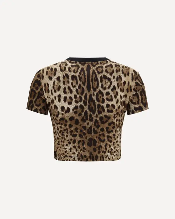 Dolce & Gabbana Leopard-print Cropped T-shirt