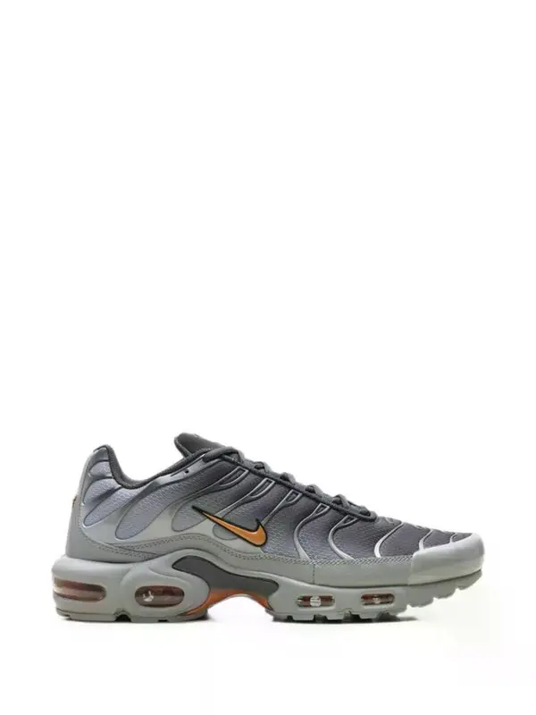 Nike Air Max Plus Sneakers