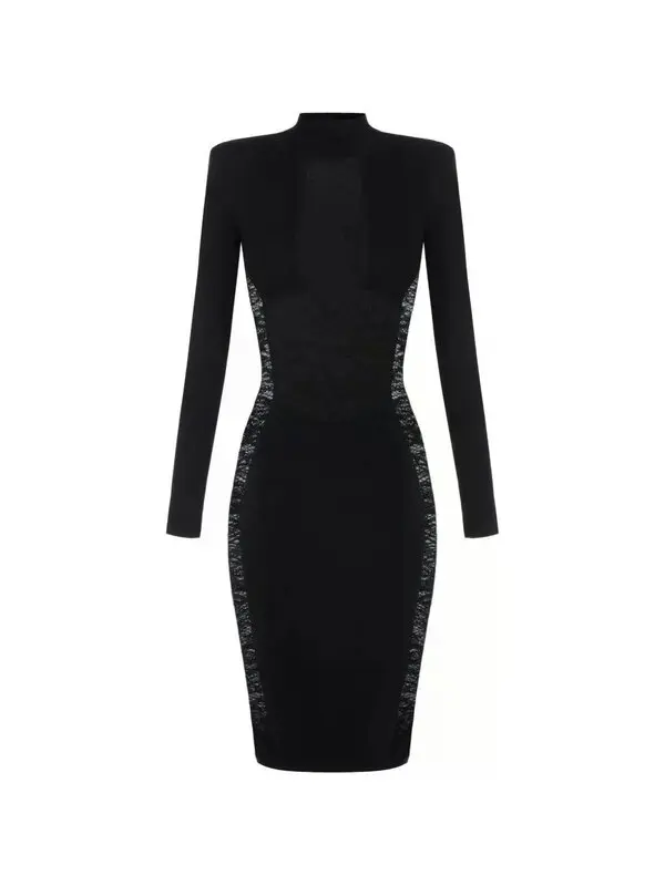 Elisabetta Franchi Lace-panelled Mesh-insert Knit Dress