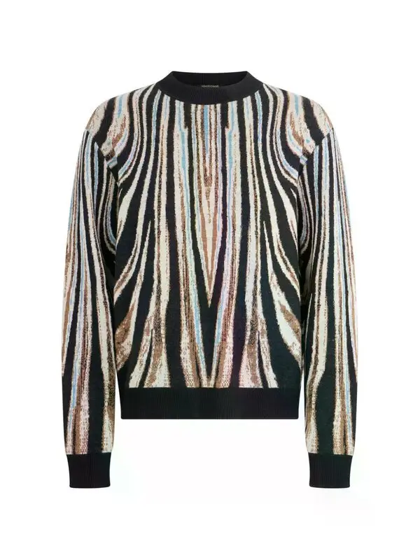 Roberto Cavalli Tiger Print Knit Sweater