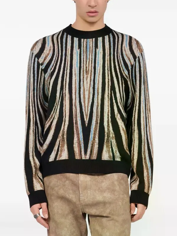 Roberto Cavalli Tiger Print Knit Sweater