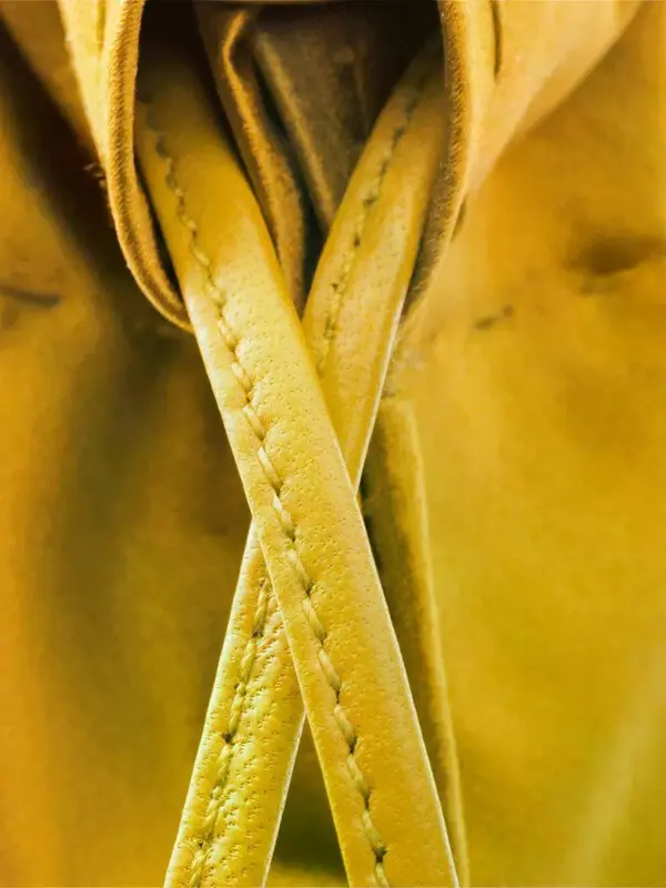 Prada Silk Duchesse Pouch