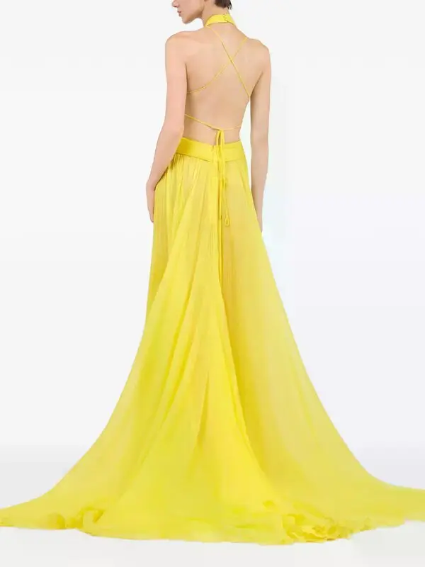 Roberto Cavalli Cut-out Pleated Long Dress