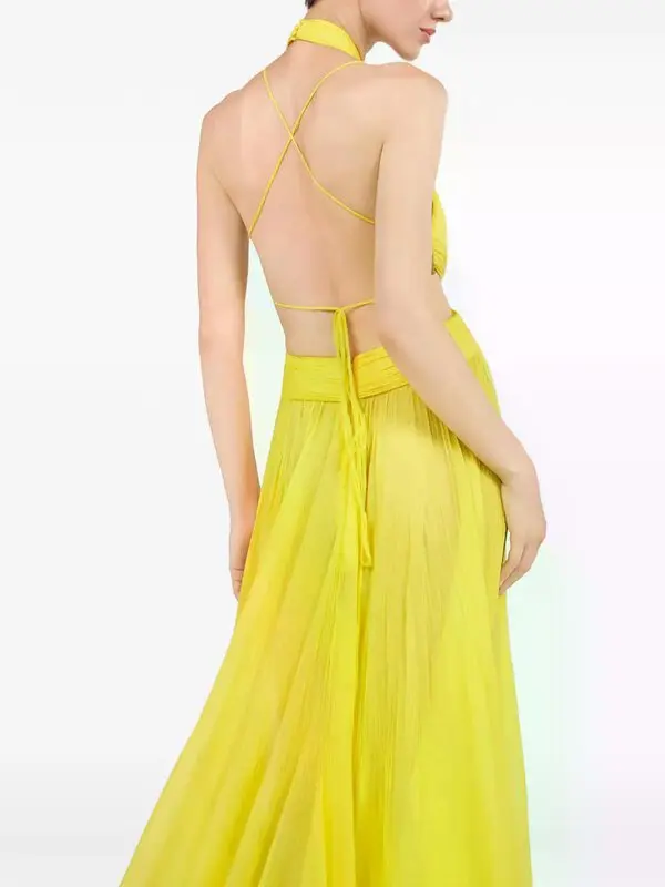 Roberto Cavalli Cut-out Pleated Long Dress
