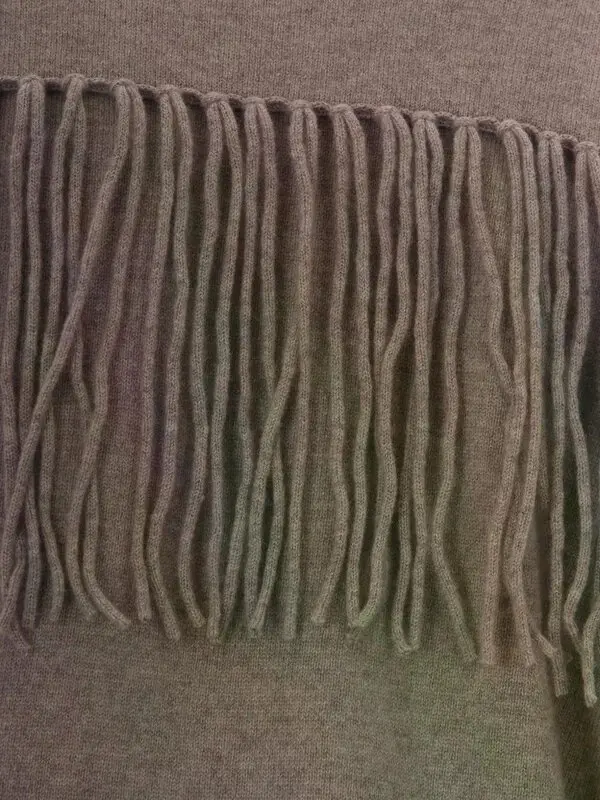 P.a.r.o.s.h Cashmere Fringe Detail Roll Neck Sweater - Neutrals