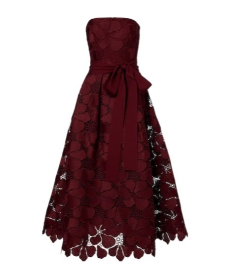 Elie Saab Silk-blend Guipure Lace Cocktail Dress - Wine Red