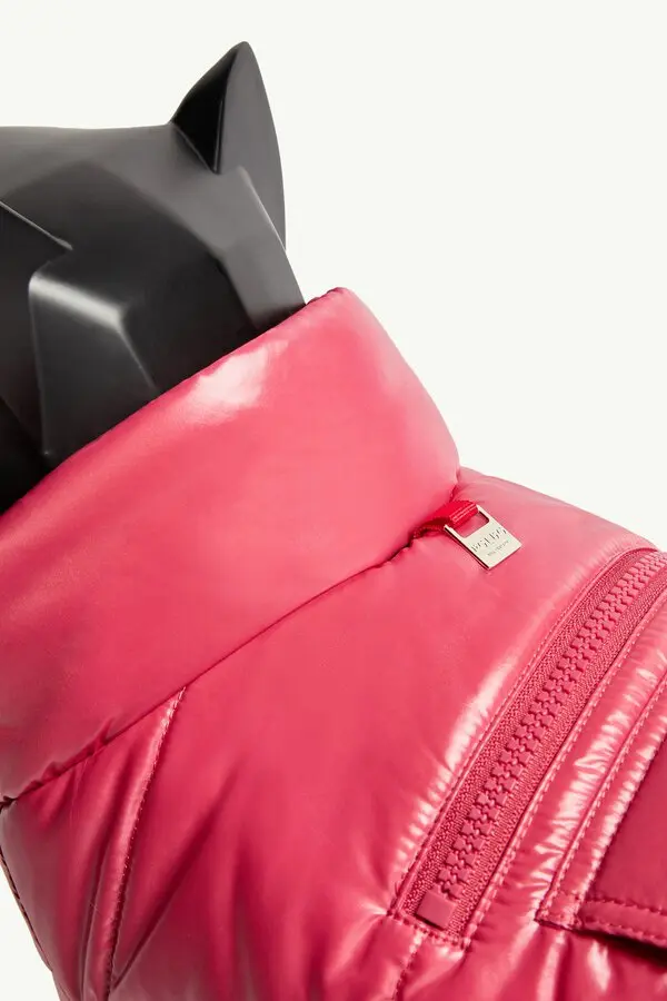 MONCLER POLDO DOG COUTURE Padded Dog Vest
