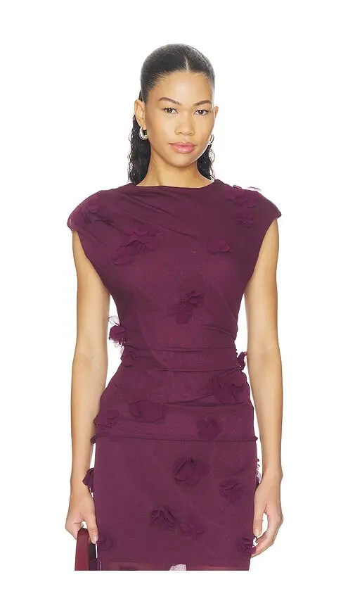 Simkhai Tessa Short Sleeve Floral Applique Top In Wine - Fig