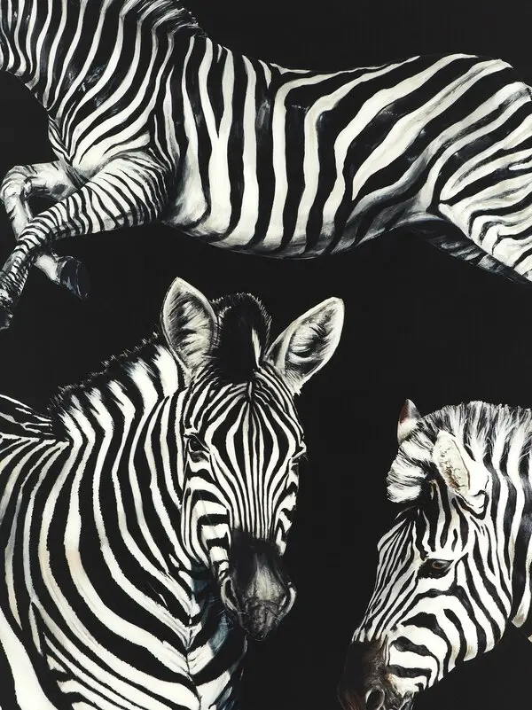 Dolce & Gabbana Zebra Print Scarf