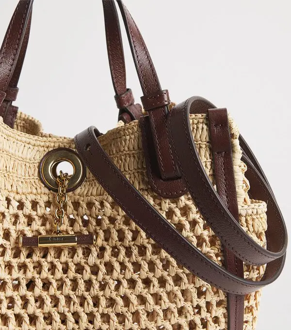 Chloé Small Raffia Iconic Double Carry Bag