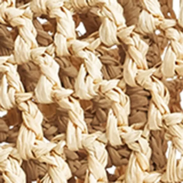 Chloé Small Raffia Iconic Double Carry Bag