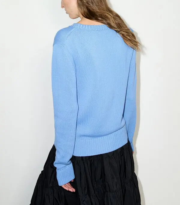 Max & Co. Cotton Slogan Sweater