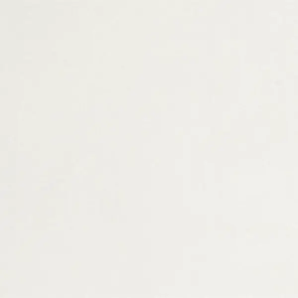 Max Mara Collarless Shirt