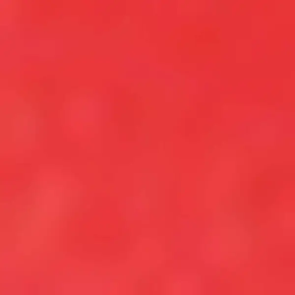 Amina Muaddi Leather Juliette Sandals - Red