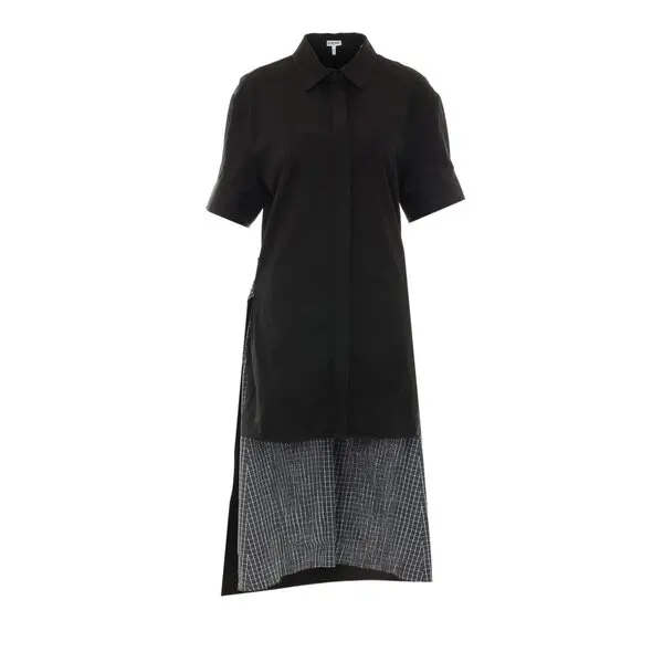 Loewe Cotton And Silk Dress