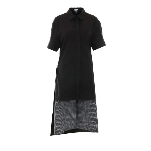 Loewe Cotton And Silk Dress