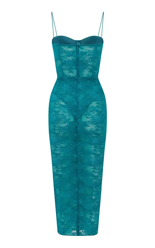 Alex Perry Cupped Sheer Stretch Lace Maxi Dress