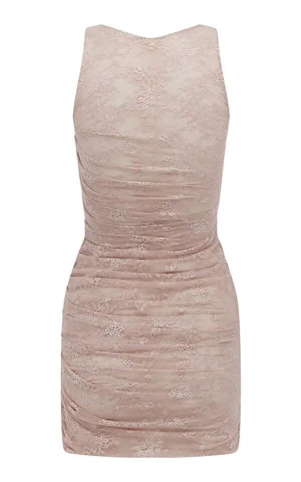 Alex Perry Singlet Sheer Stretch Lace Mini Dress