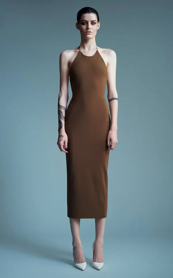 Alex Perry Halter Powermesh Maxi Dress