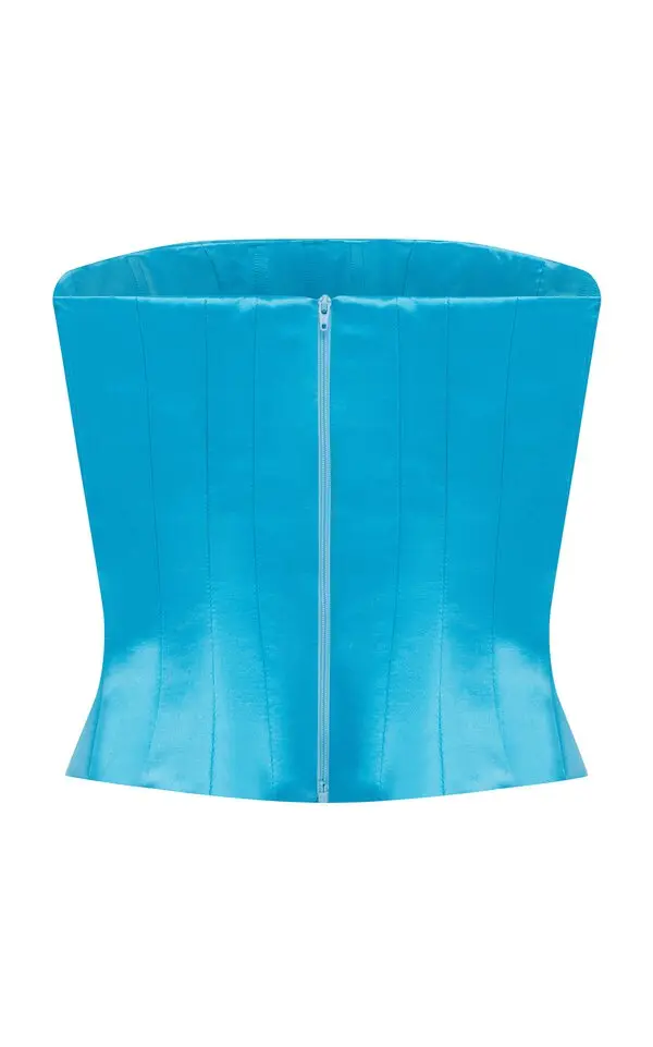 Alex Perry Strapless Paneled Duchess Satin Corset Top
