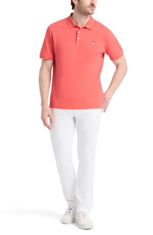 Robert Graham Devil Cotton Polo