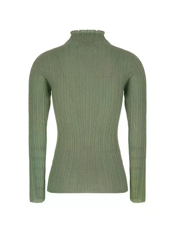 Fabiana Filippi Ribbed-knit Roll-neck Sweater - Green