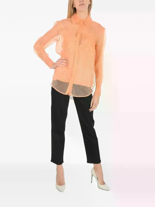 Baum Und Pferdgarten Sheer Organza Shirt With Classic Collar
