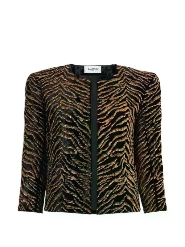 Balmain Velvet Tiger Embroidery Jacket - Black