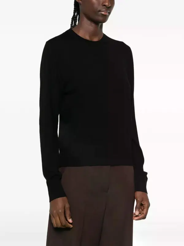 Pinko Lourdes Crew-neck Sweater