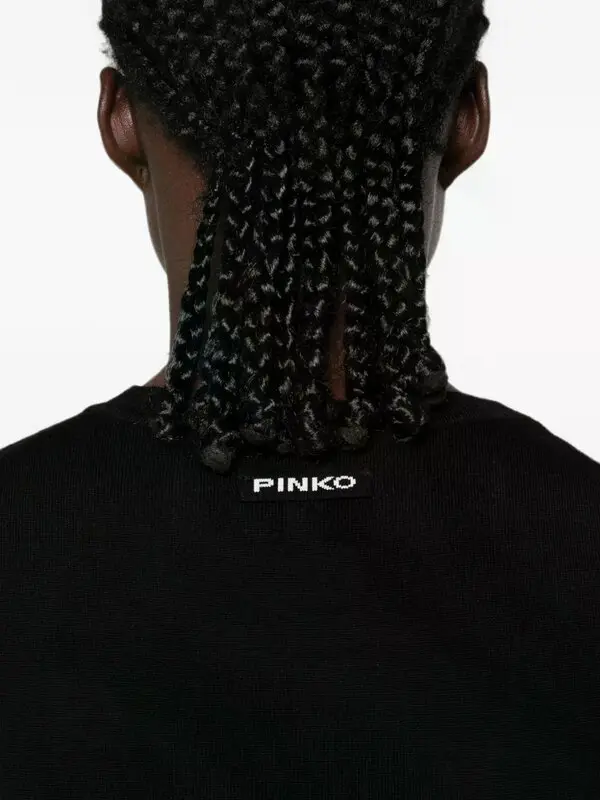 Pinko Lourdes Crew-neck Sweater