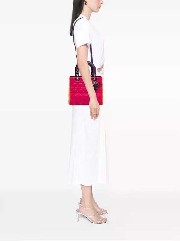 Dior Lambskin Cannage Lady Satchel - Orange