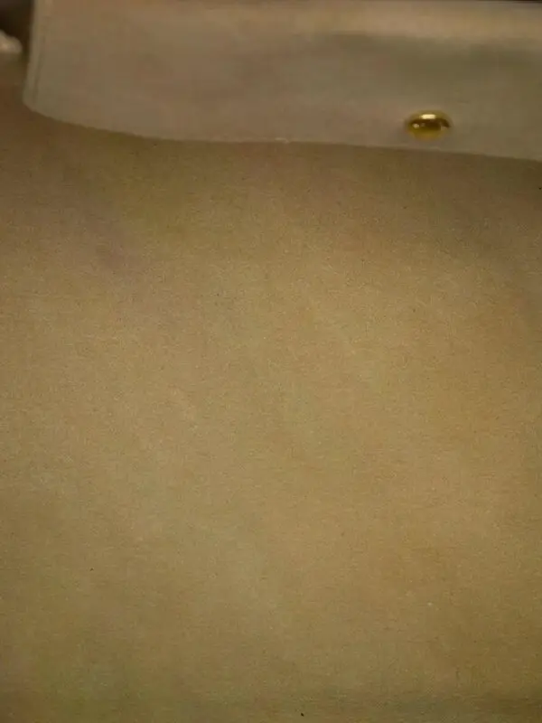 LOUIS VUITTON Monogram Galliera Pm Shoulder Bag