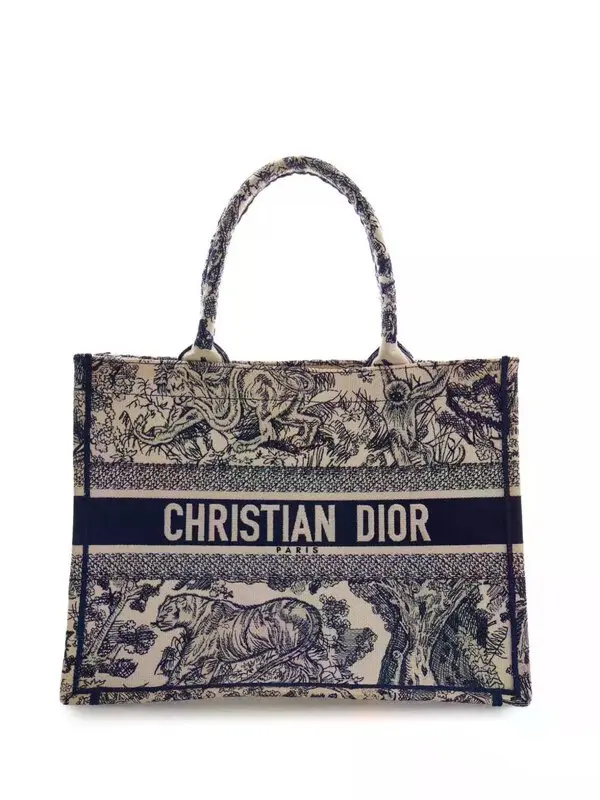 Dior 2020 Medium Canvas Embroidered Reverse Dioriviera Toile De Jouy Book Tote Bag - Blue
