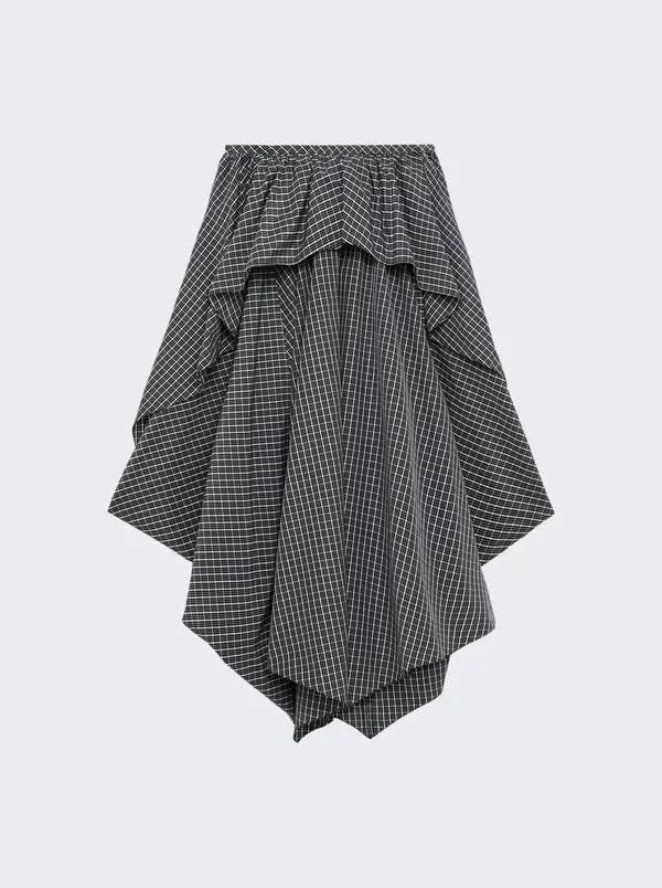 Loewe Midi Skirt & White