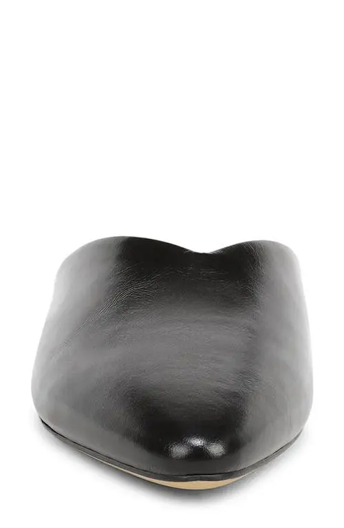 Sam Edelman Khai Mule