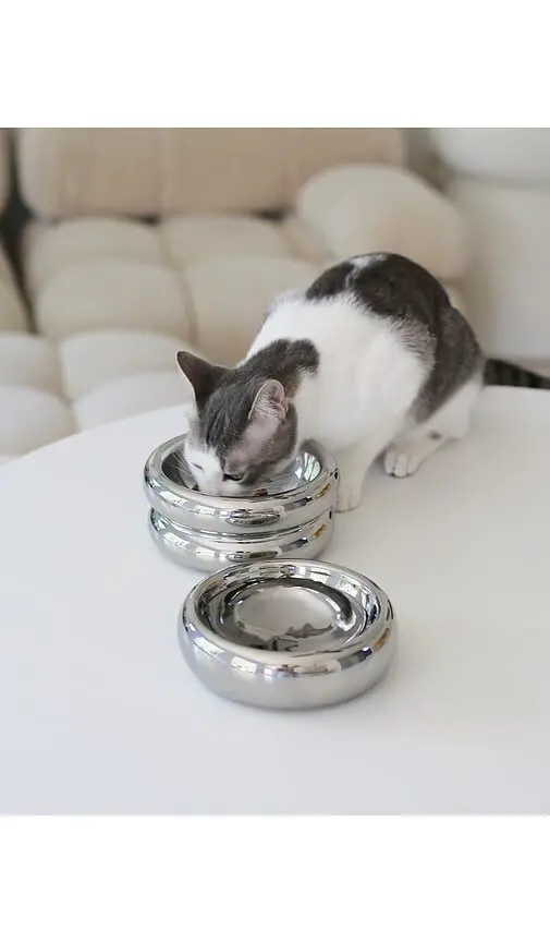 CATENARY HOME Elevated Halo Pet Bowl In Metallic Silver
