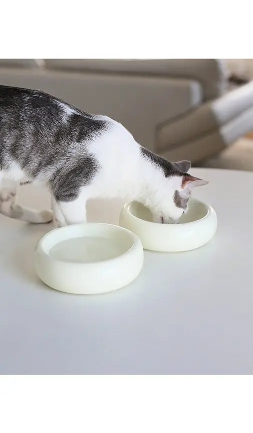 CATENARY HOME Halo Pet Bowl
