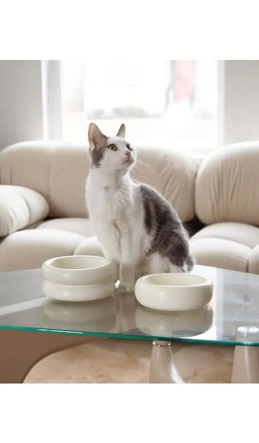CATENARY HOME Elevated Halo Pet Bowl