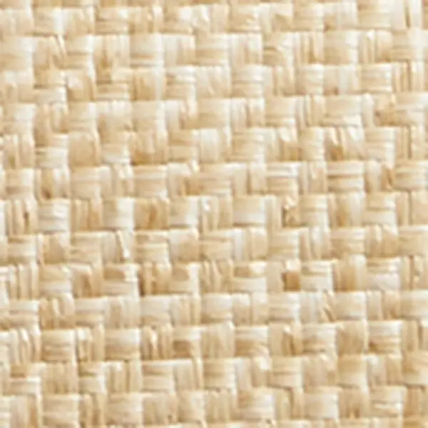 Bottega Veneta Raffia Andiamo Clutch Bag - White