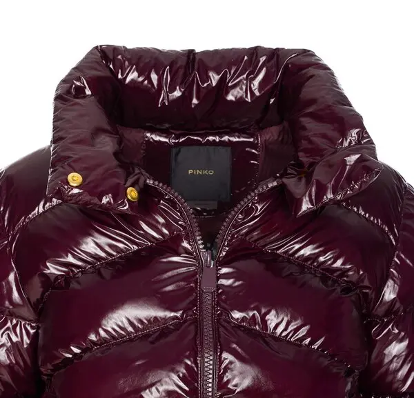 Pinko Long-sleeved Zip-up Down Jacket